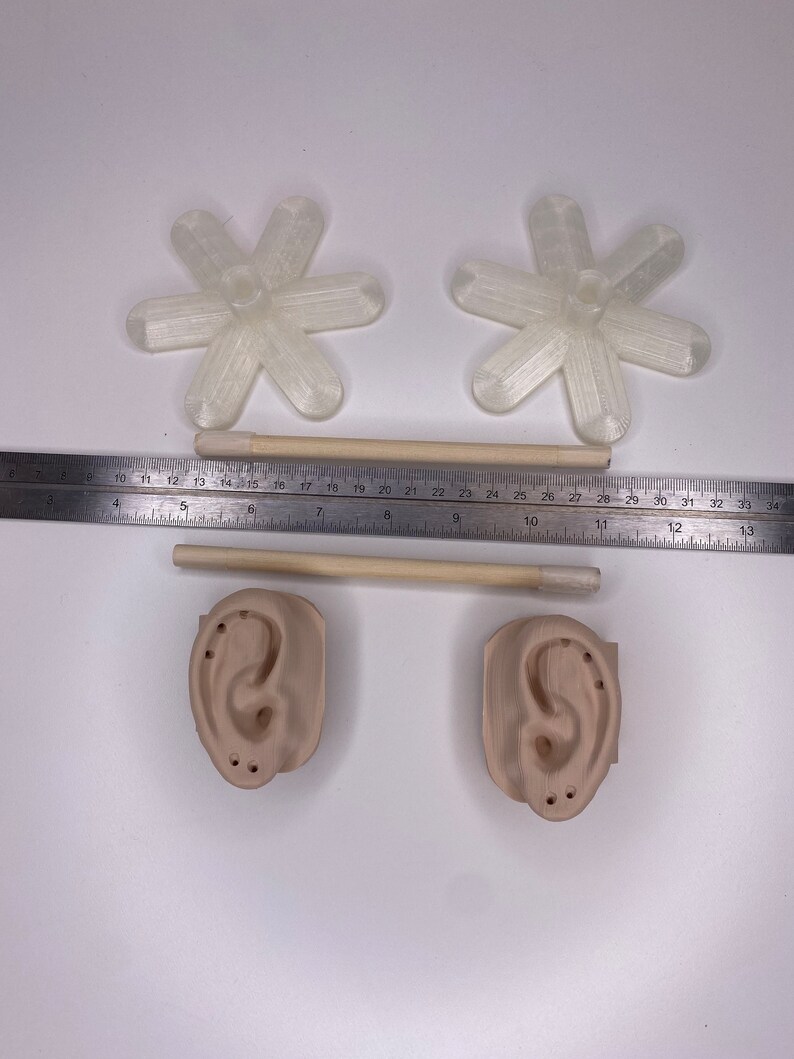 Ear Model - Display Your Wares on an Anatomically Correct Ear - Etsy