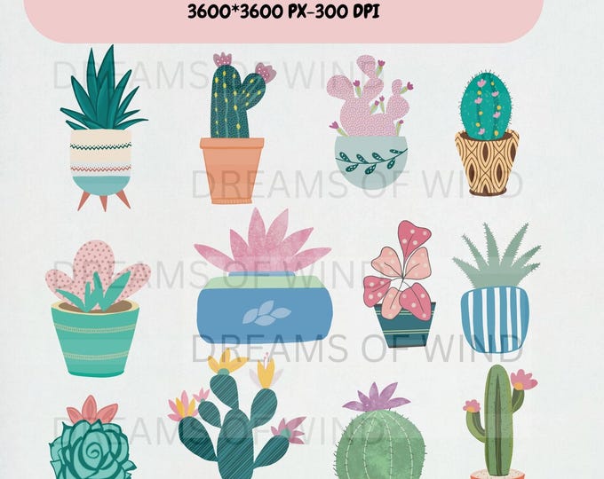 Succulents Clipart • 12 Hand Drawn Digital Images • Png, Cactus ...