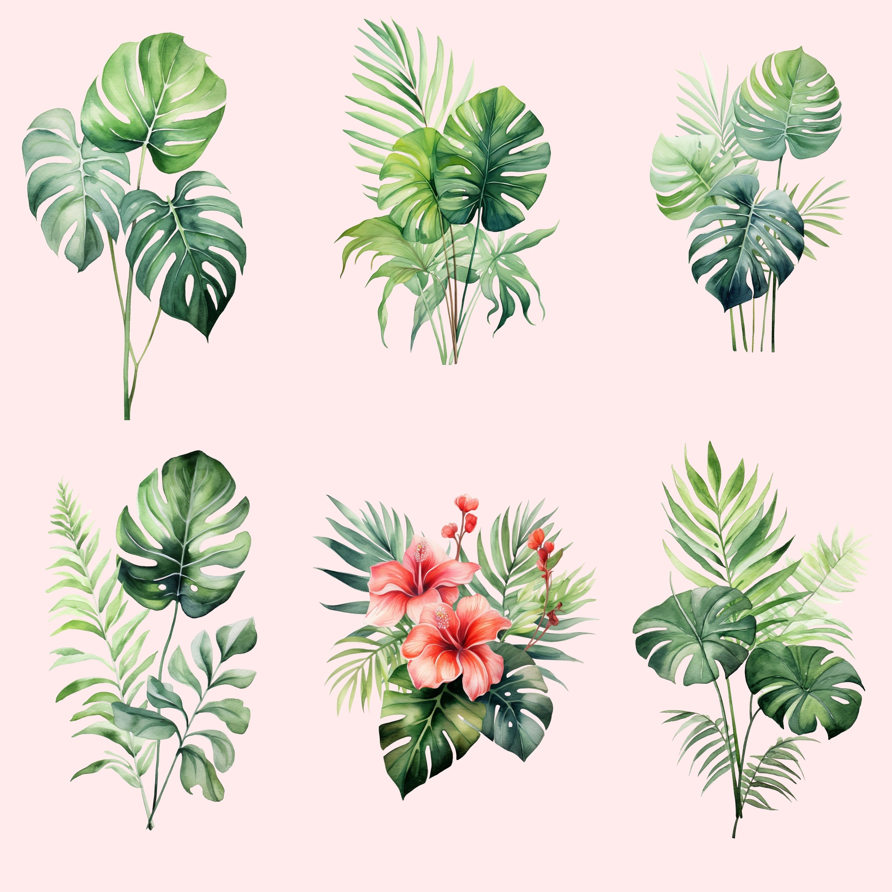 45 PNG Watercolor Tropical Flowers Clipart ,wild Flowers Set Clipart ...