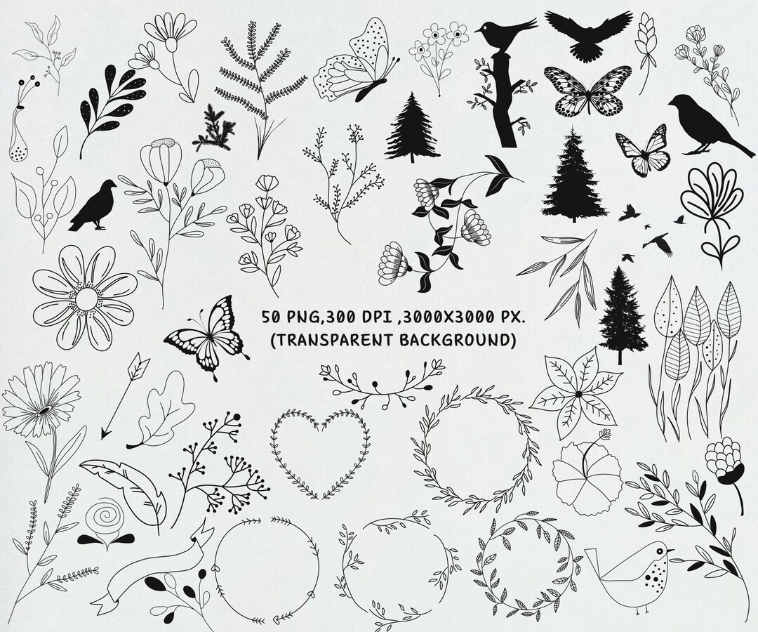 Doodle Flower Clipart Commercial Use-clipart Handdrawn , Branches ...