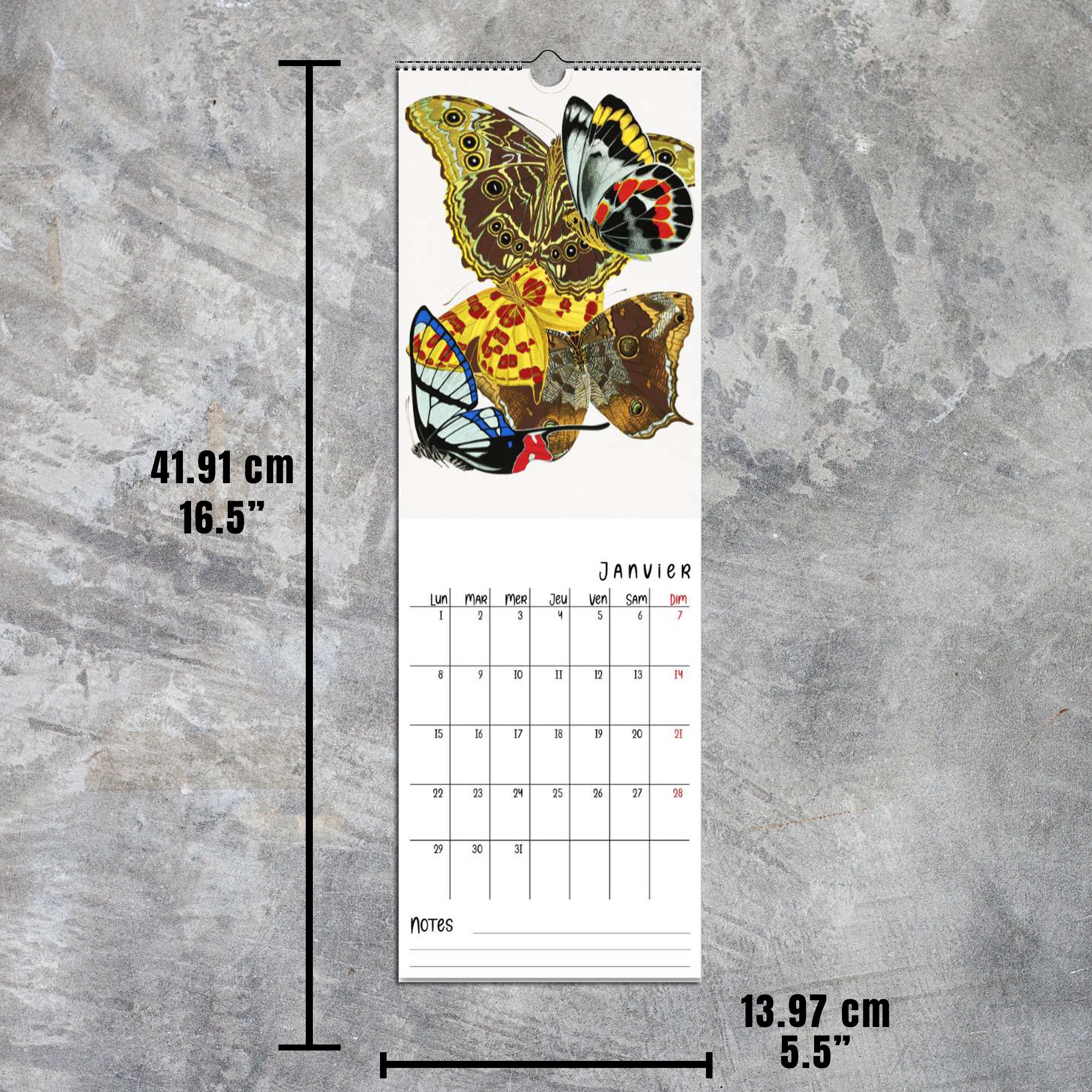 2024 Calendar Emile-alain Séguy Butterfly Color Insect Animals Art ...