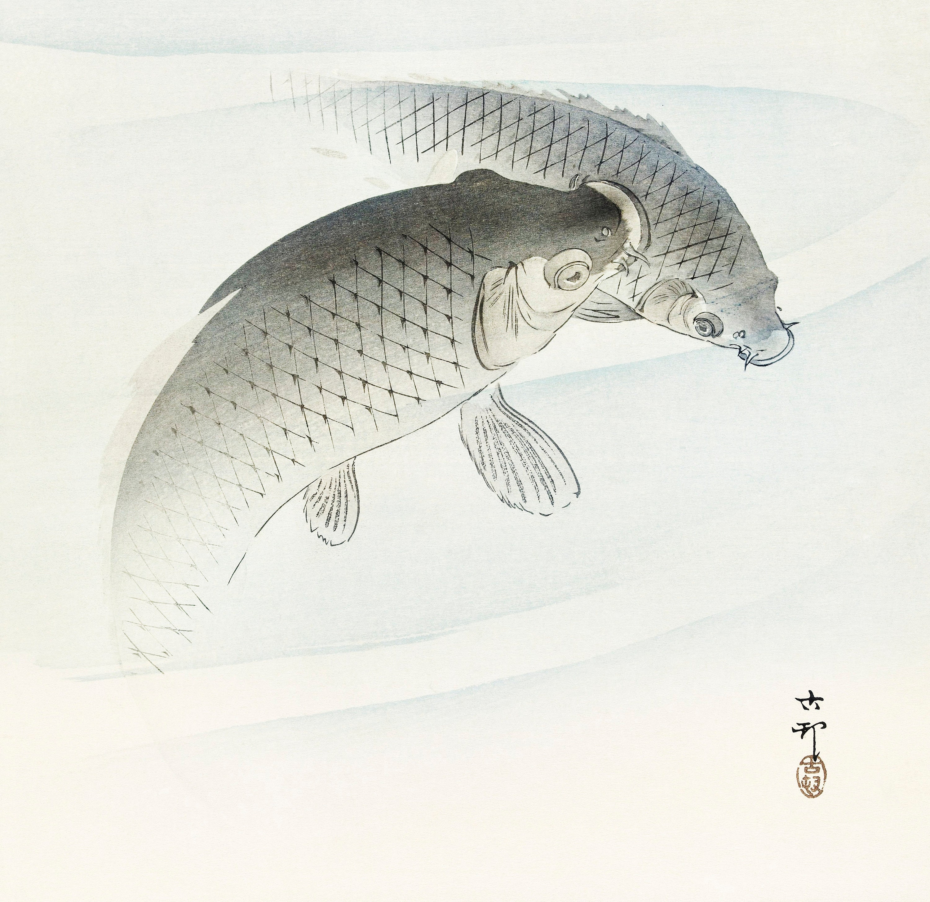 Traditional Japanese Art - Vintage Koi Carp Fish Print - Gifts for Her ...