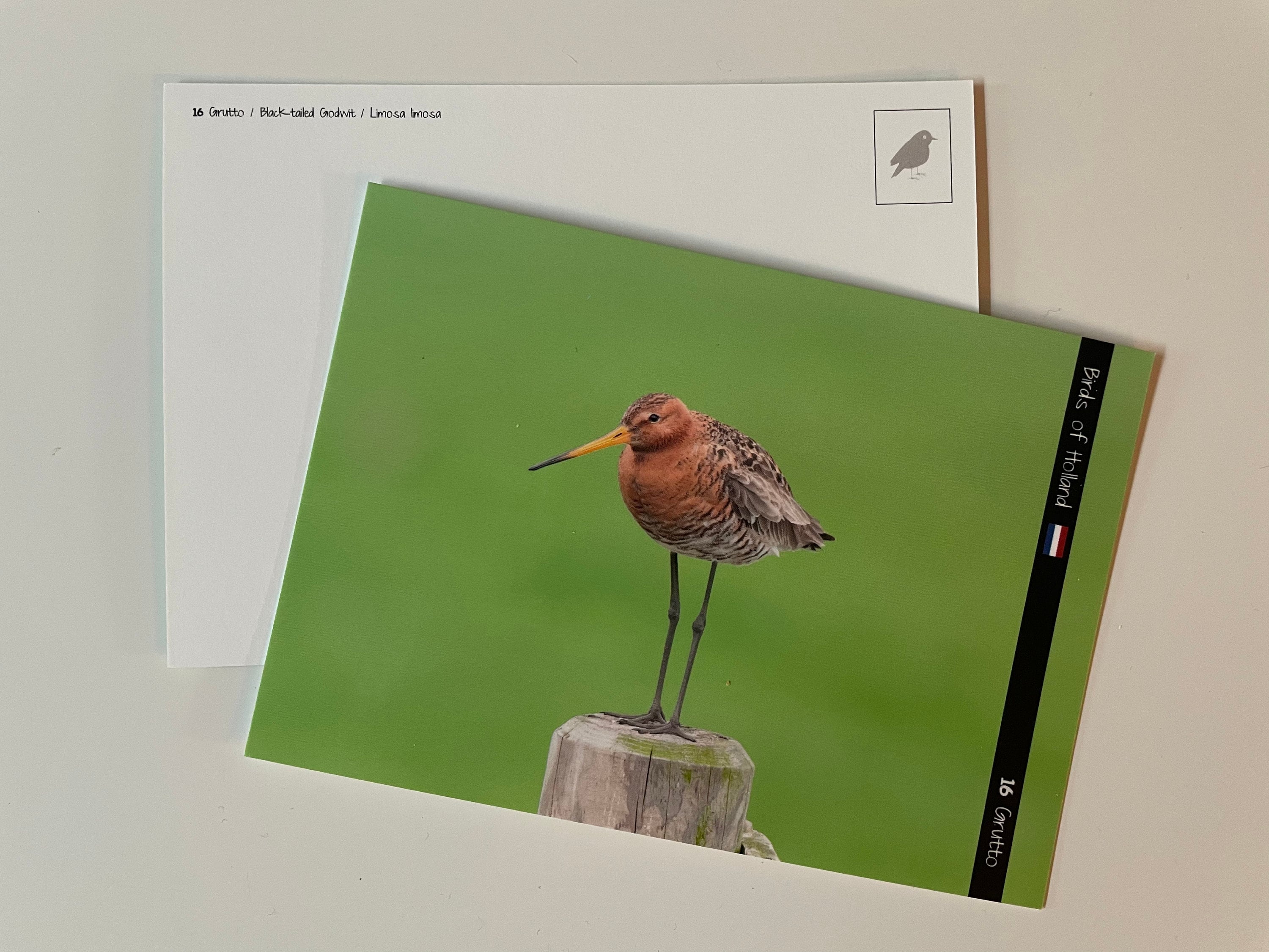 16 Postcards for Postcrossing - Etsy