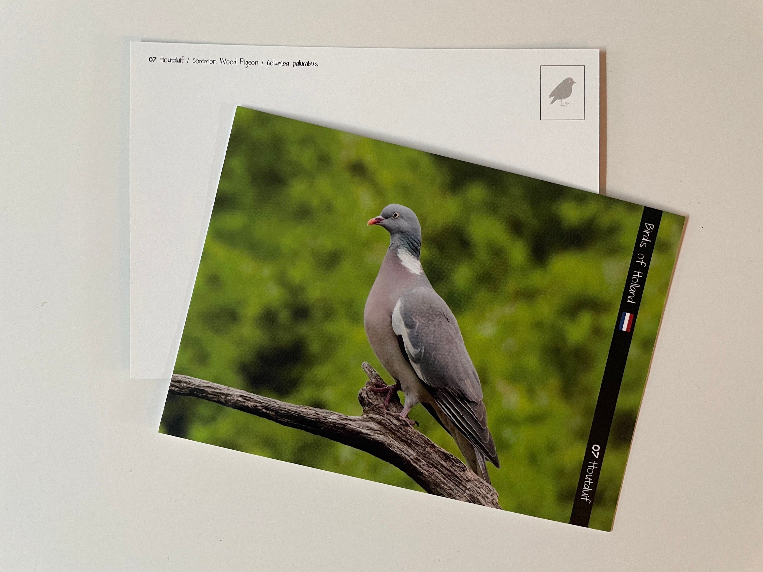 16 Postcards for Postcrossing - Etsy