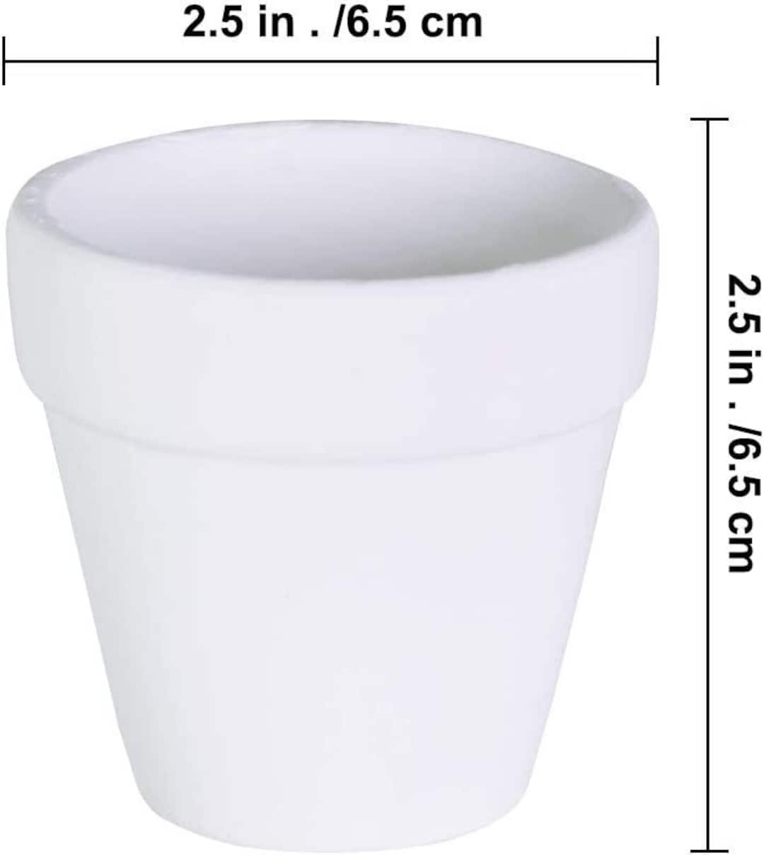 Buy 2 Get 1 Free - White Clay Pots Succulents Pot for Mini Plants ...