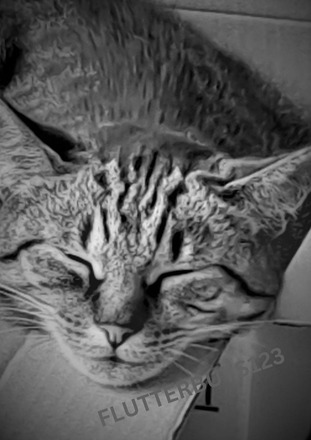 Adorable Tabby Cat Asleep in a Box: A4 Digital Art Print ...