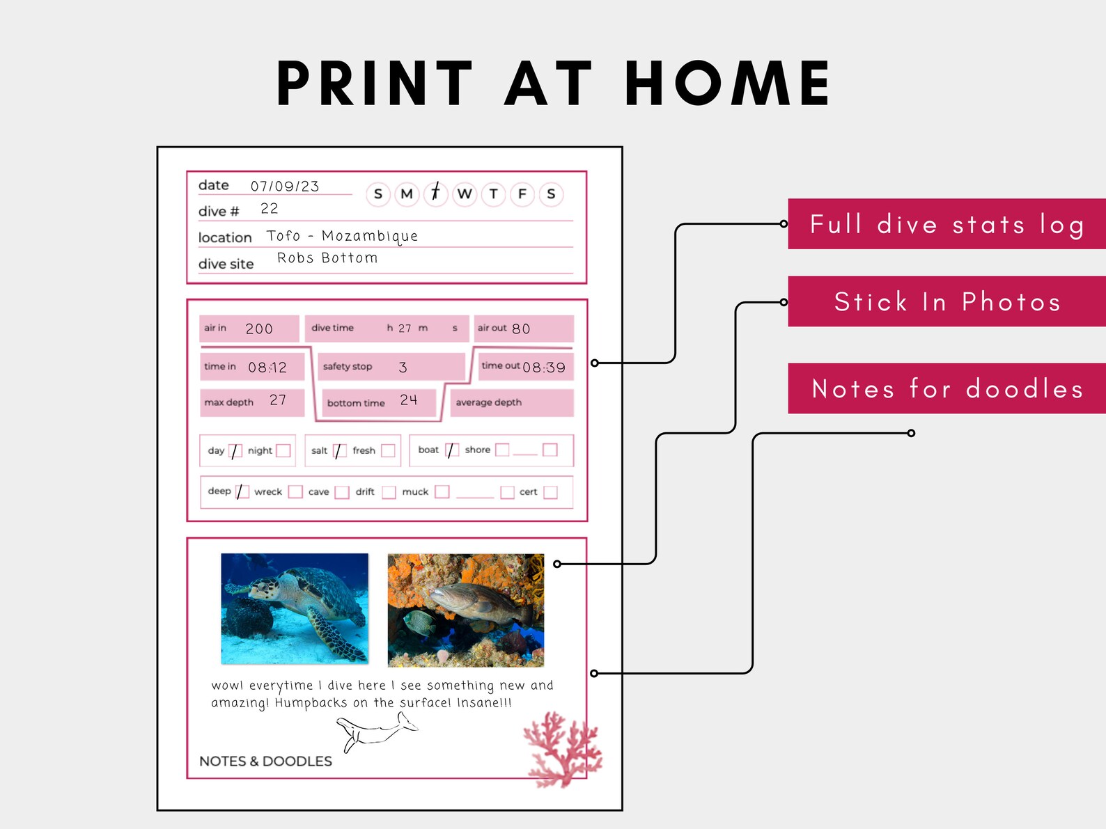 Printable Scuba Dive Log Book Sheets Digital Download Diving Log Print ...