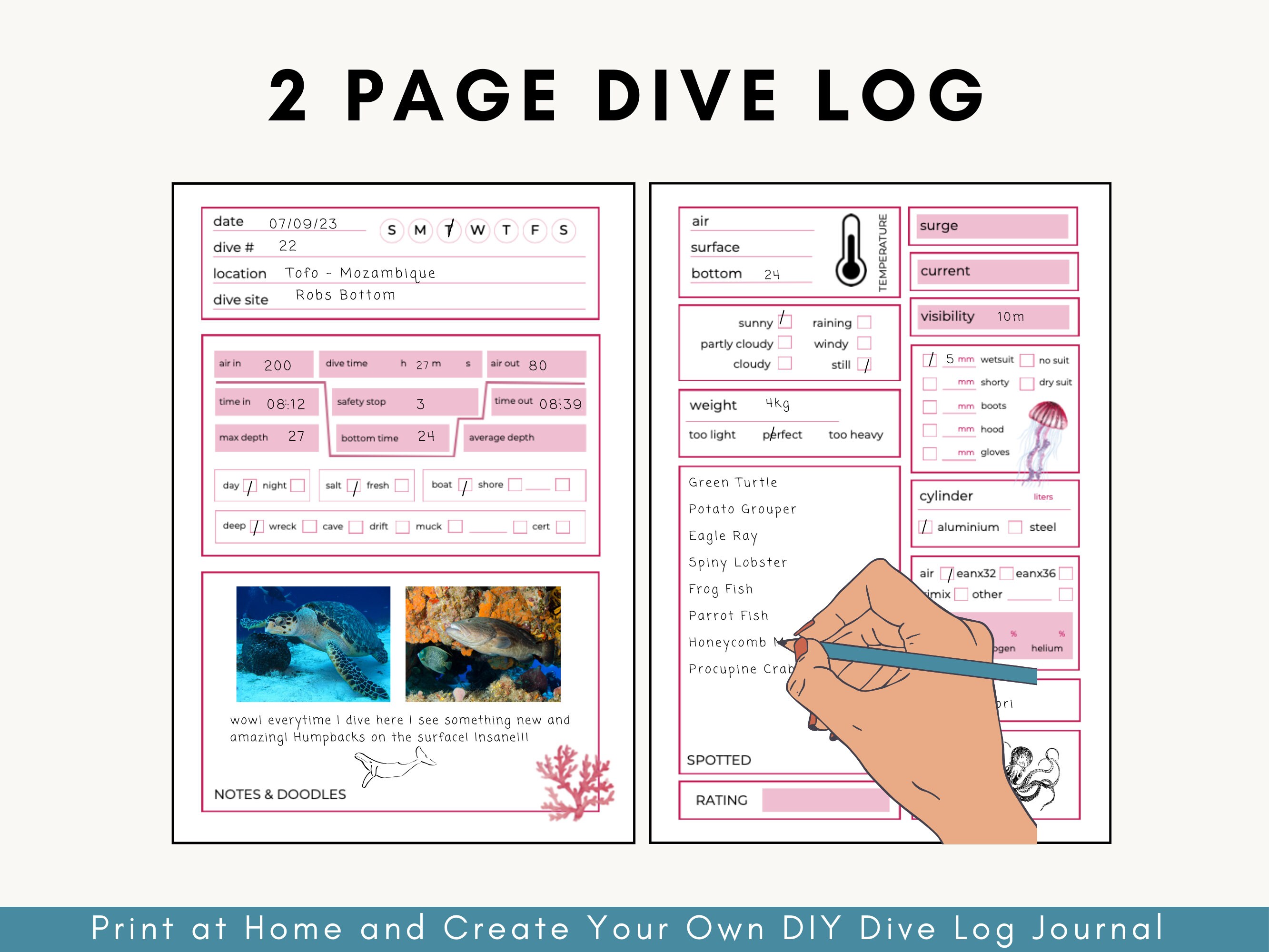 Multipack Scuba Dive Log Book Sheets Digital Download Diving Log Print ...
