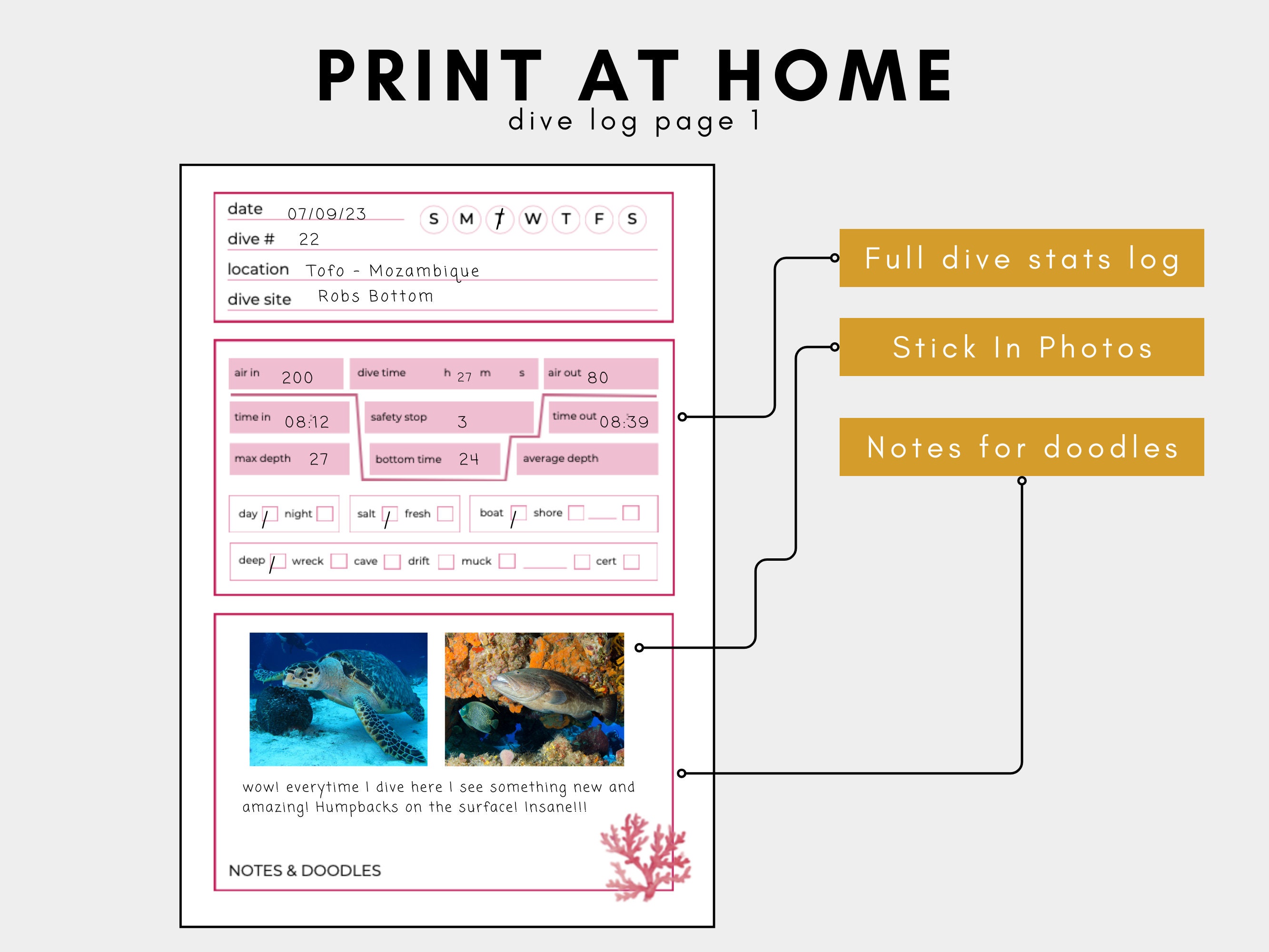 DIY Scuba Dive Journal Log Book Digital Download Diving Log Print at ...