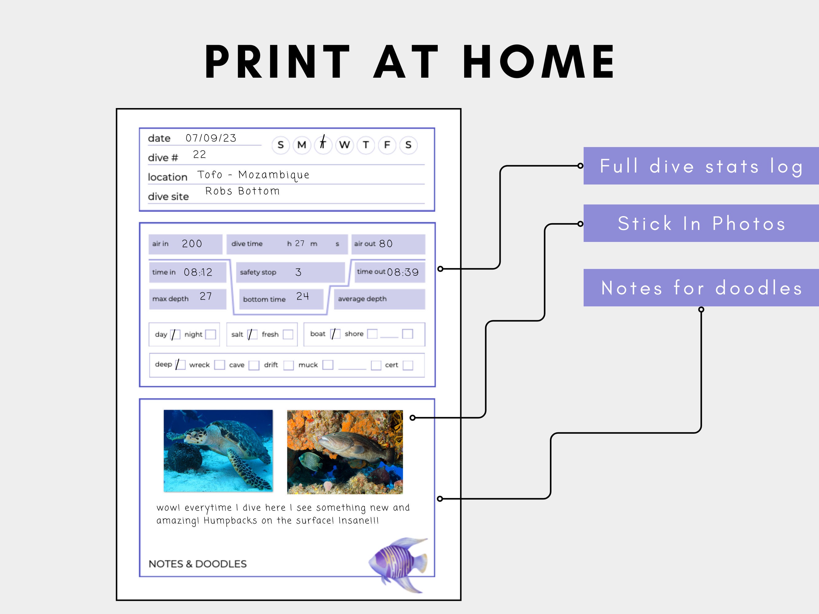Purple Scuba Dive Log Book Sheets Digital Download Diving Log Print at ...