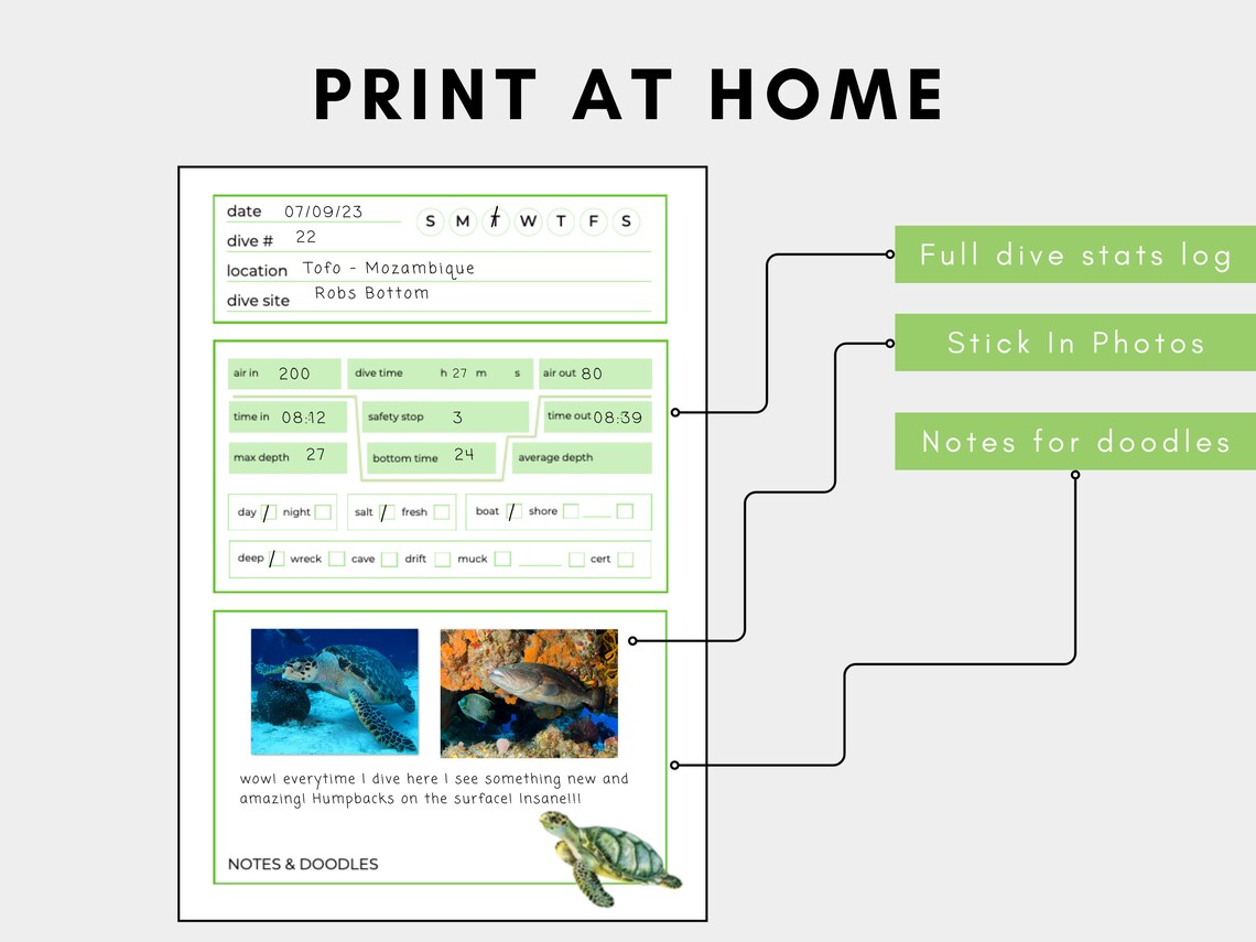 Green Scuba Dive Log Book Sheets Digital Download Diving Log Print at ...
