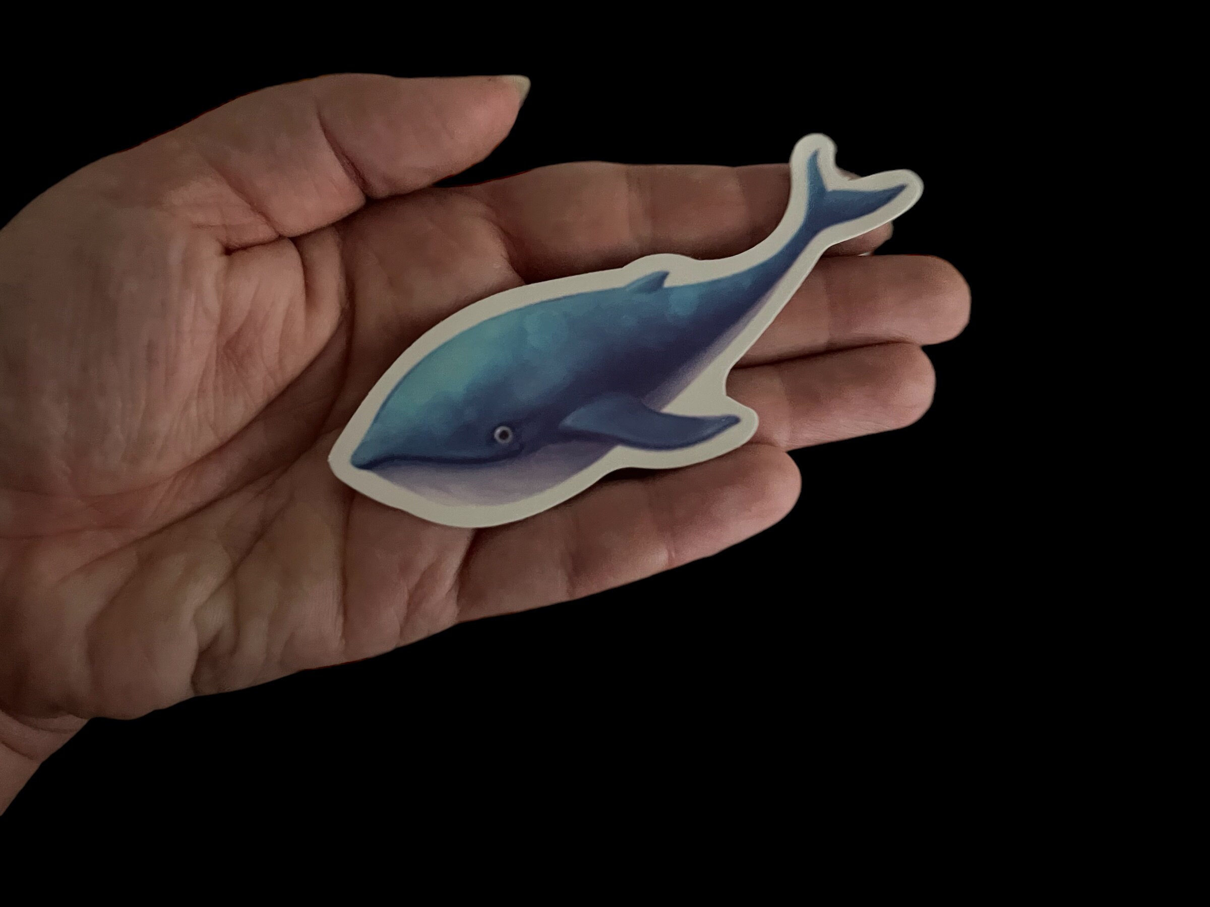 10 Waterproof Large by the Sea Ocean Stickers, Mystery Sticker Pack - Etsy