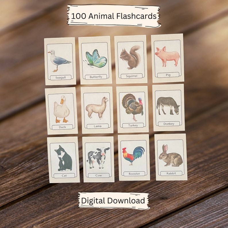 100 Printable Nomenclature Animal Flashcards - Etsy