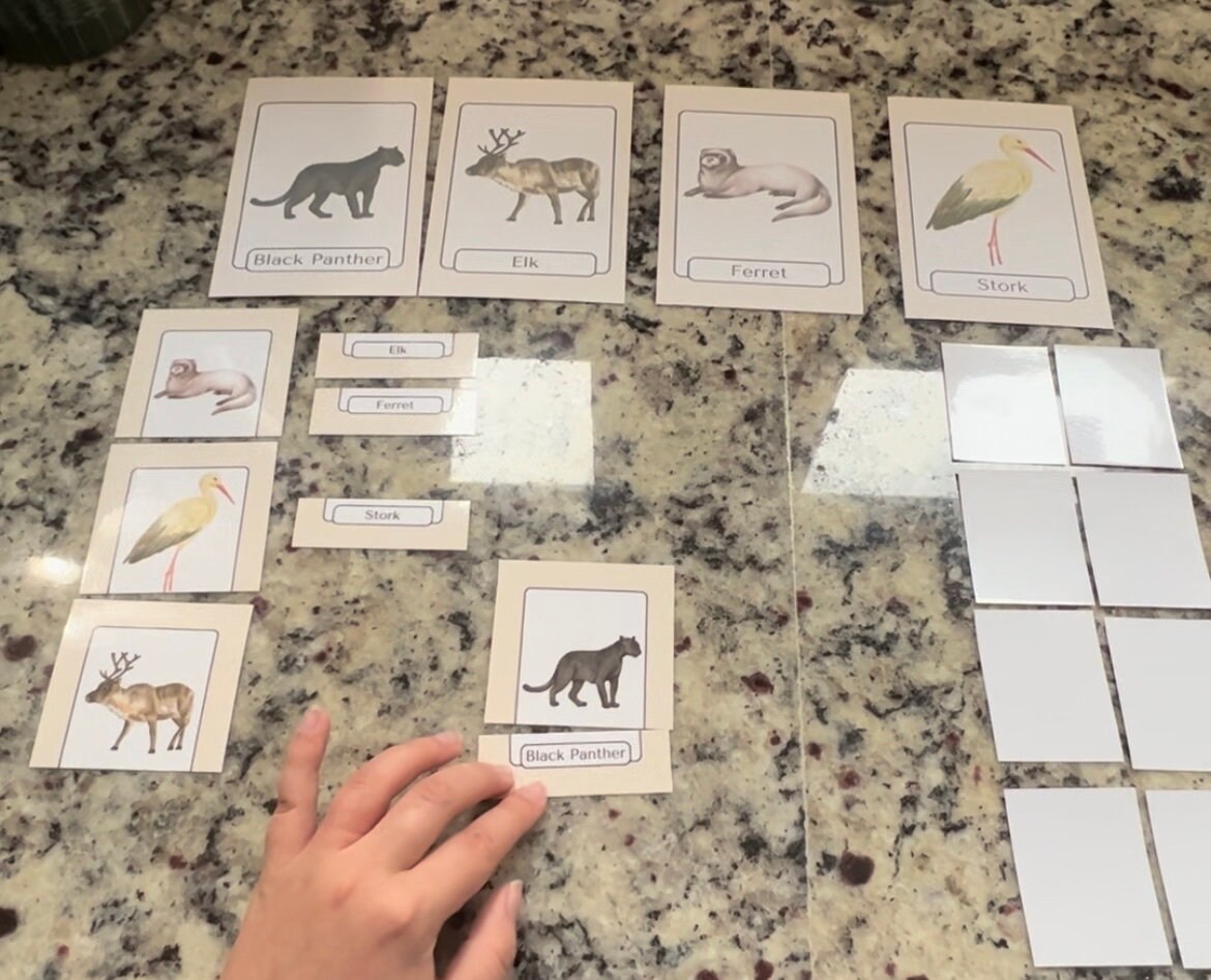 100 Printable Nomenclature Animal Flashcards - Etsy