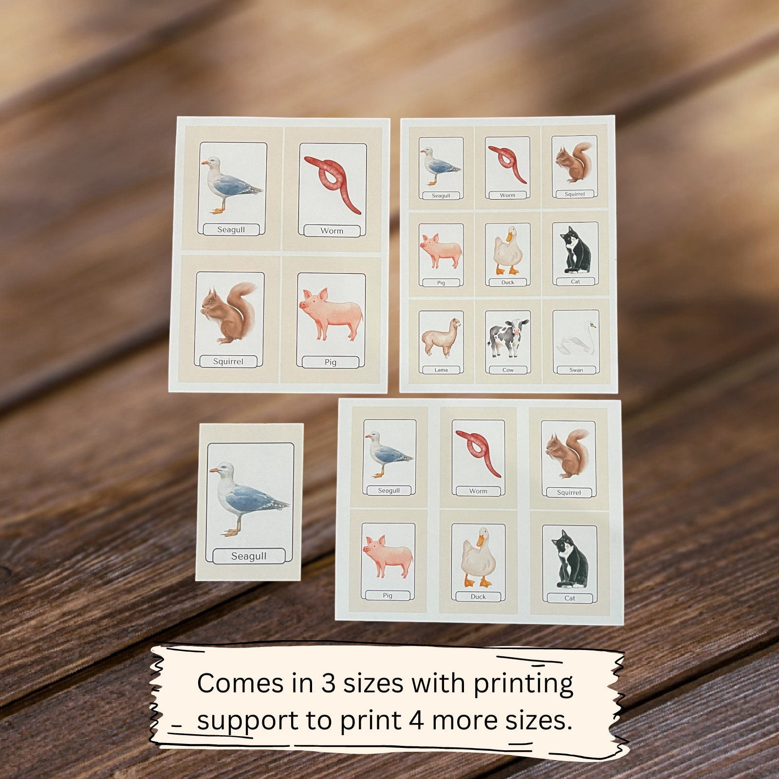 100 Printable Nomenclature Animal Flashcards - Etsy