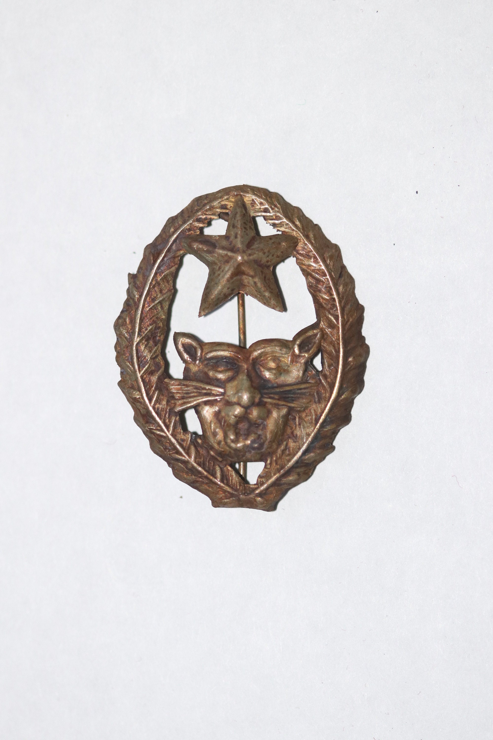 Army Commando Badge