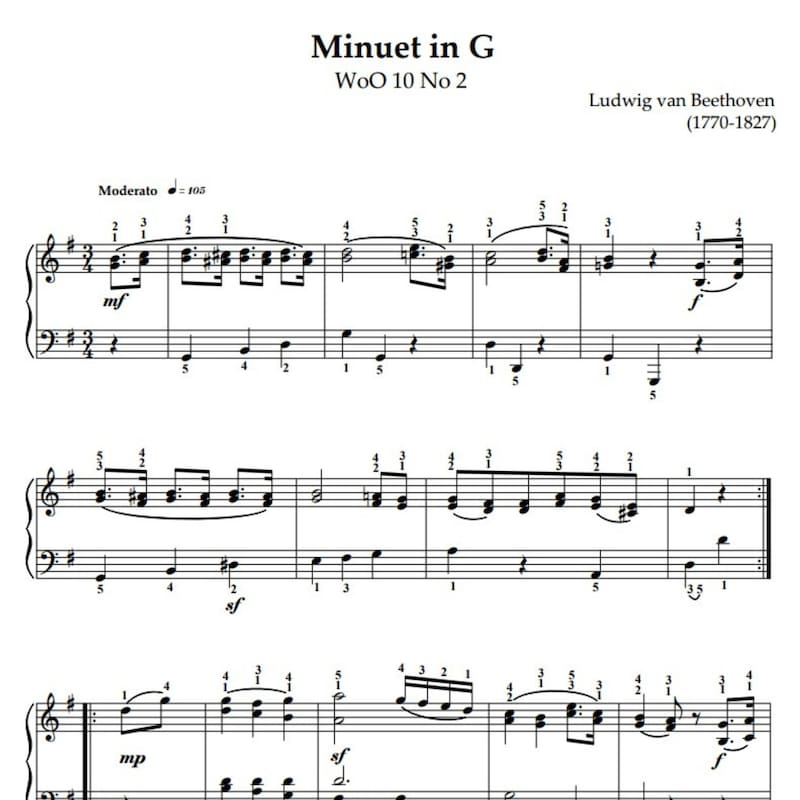 Ludwig Van Beethoven - Etsy