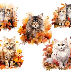 Cat Clipart, Autumn Clipart, Watercolor Clipart, Png Bundle. Digital ...