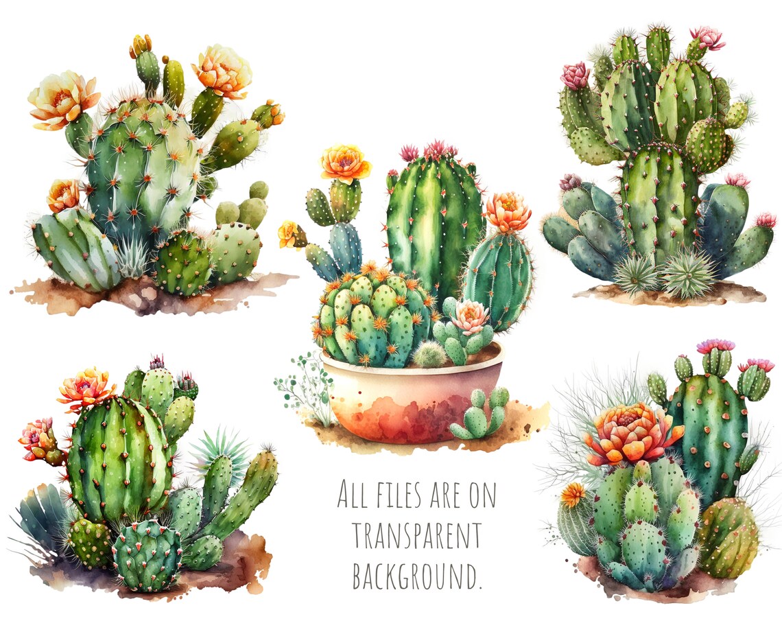 Cactus Clip Art Succulent Clipart Floral Clip Art Png. - Etsy