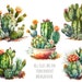 Cactus Clip Art, Succulent Clipart, Floral Clip Art, Png. Digital ...