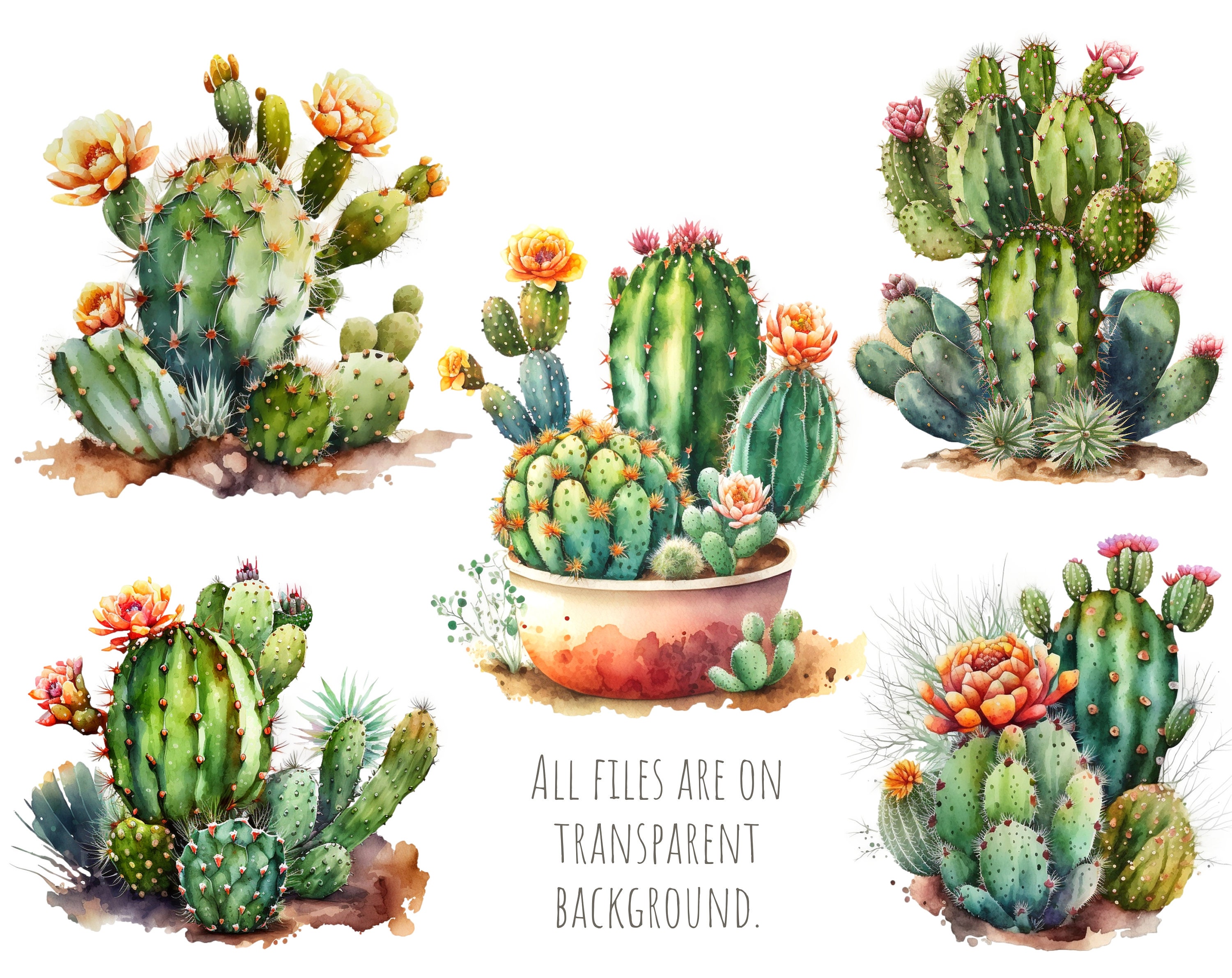 Cactus Clip Art Succulent Clipart Floral Clip Art Png. - Etsy
