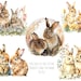 Bunnies Clipart. Bunny Bundle. Spring Clipart Rabbit Clip - Etsy
