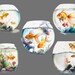 Goldfish Clipart, Digital Watercolor. Nautical Clipart. Aquarium Clip ...