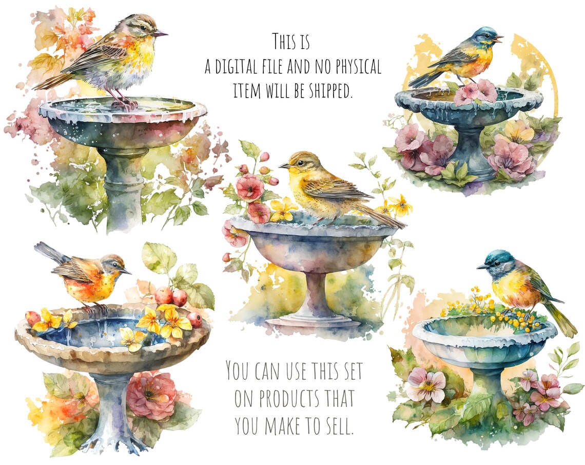 Spring Bird Clipart Floral Clip Art Birdbaths Clipart Png. - Etsy