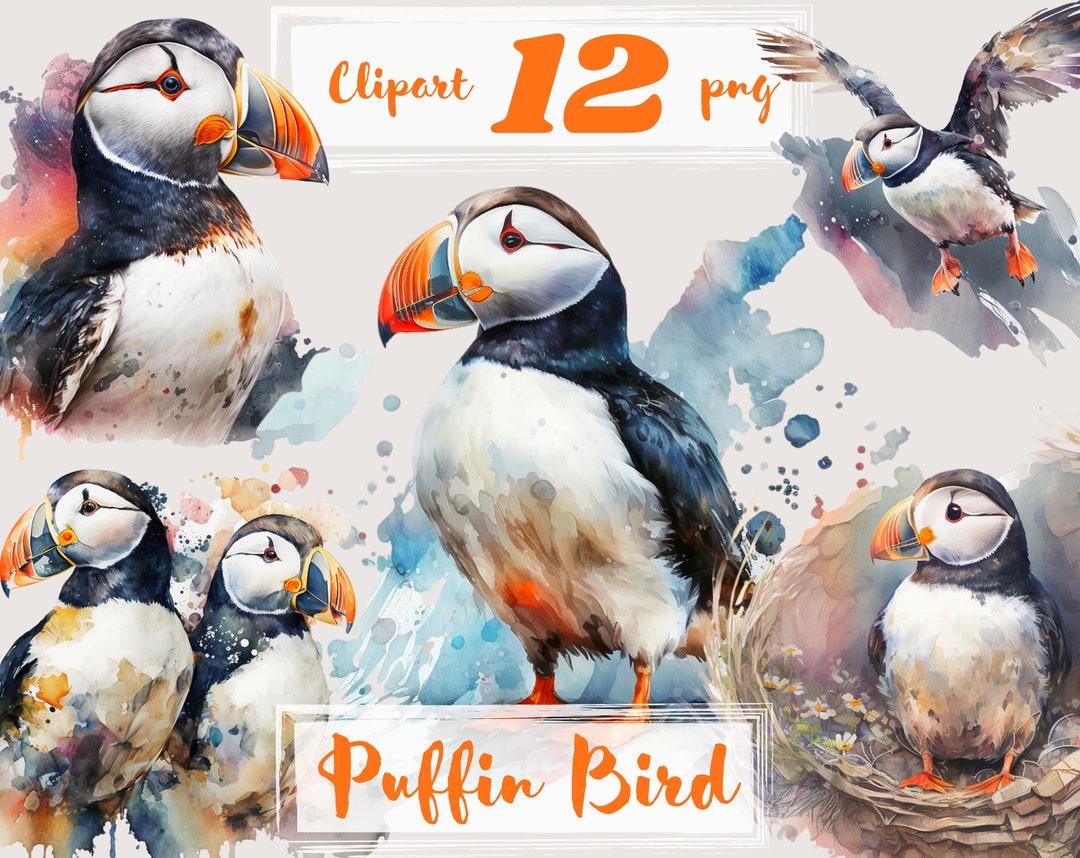 Puffin Bird Clipart. Cute Birds Clip Art, Png. Digital Watercolor. Free ...