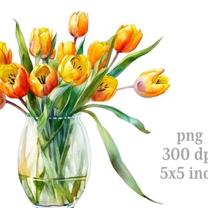 Tulip Clipart. Spring Clipart. Floral Clipart, Field, Garden, Blooming ...
