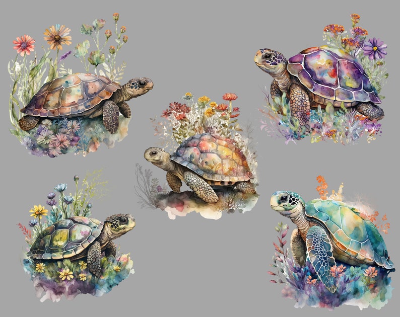 Turtle Clipart Nautical Clipart. Ocean Animal. Sea Animals - Etsy