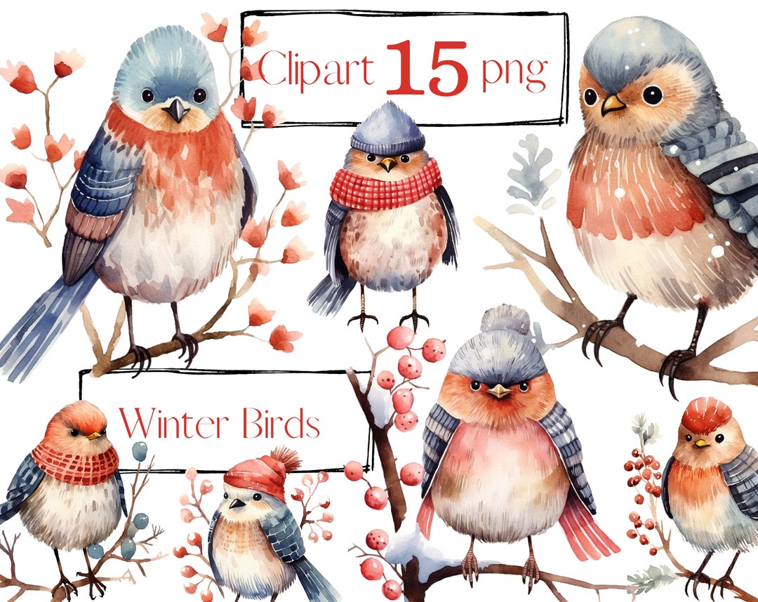 Winter Birds Clipart, Christmas Clipart, Winter Clipart, Bird Clipart ...
