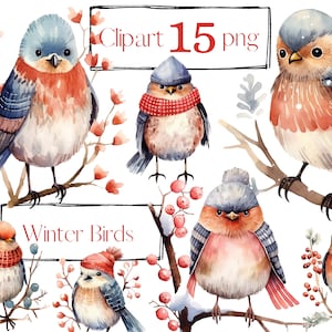 Winter Birds Clipart, Christmas Clipart, Winter Clipart, Bird Clipart ...