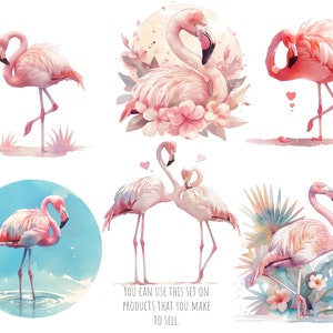 Flamingo Clipart. Tropical Clipart. Floral Clipart, Bird Clip Art, PNG ...