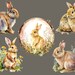 Bunnies Clipart. Bunny Bundle. Spring Clipart Rabbit Clip - Etsy