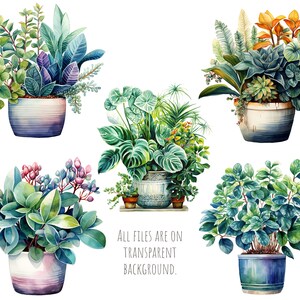 House Plants Clipart. Potted Flowers Clipart, Home, Houseplants. Floral ...
