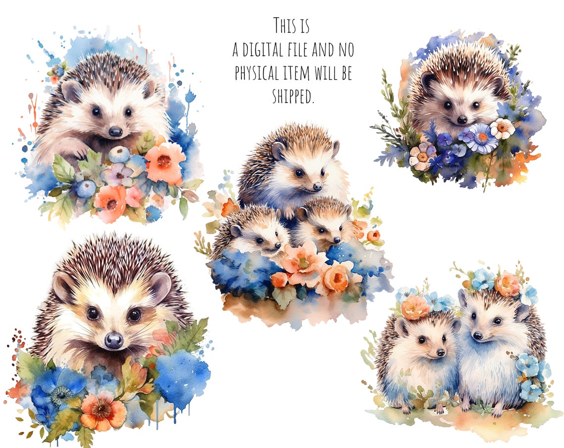 Hedgehog Clipart. Nursery Clipart. Garden Clipart Kid - Etsy