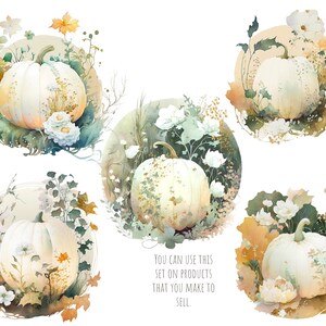 White Pumpkin Clipart, Garden Clipart, Boho Fall Clipart, Autumn ...