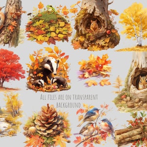 Autumn Forest Clipart, Fall Clipart, Forest Animals, Wood, Trees, Dear ...
