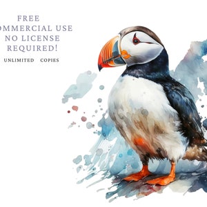 Puffin Bird Clipart. Cute Birds Clip Art, Png. Digital Watercolor. Free ...