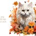 Cat Clipart Autumn Clipart Watercolor Clipart Png Bundle. - Etsy