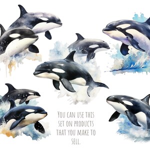 Orca Clipart, Nautical Clipart. Ocean Animal. Sea Animals Clip Art, Png ...