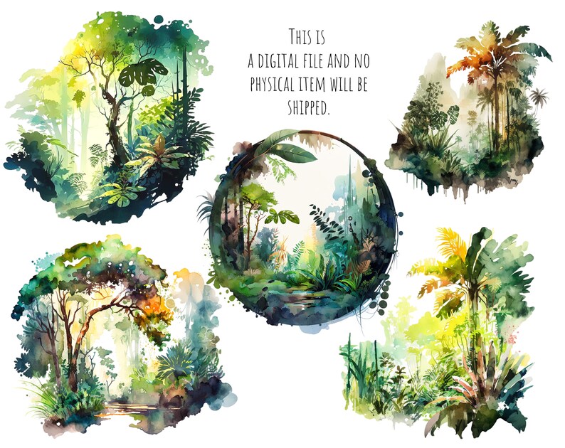 Rain Forest Clipart, Wood Clip Art, Png. Digital Watercolor. Free ...