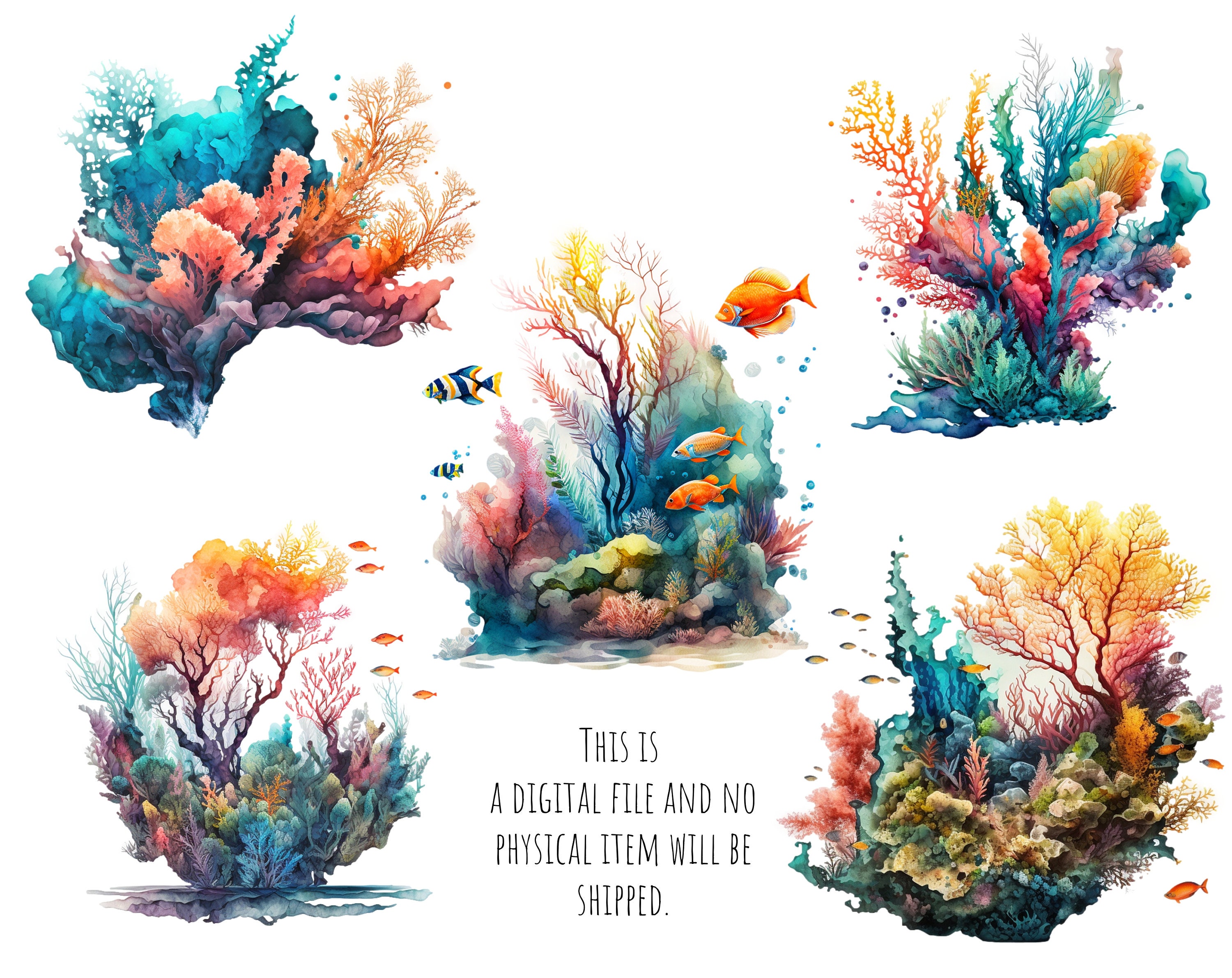 Coral Reef Clipart Nautical Clipart. Ocean Clipart. Sea Clip - Etsy