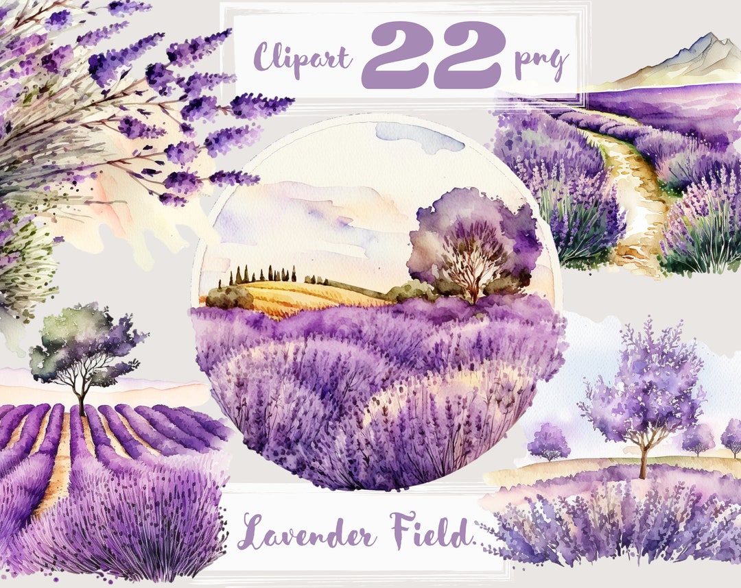 Lavender Field Clipart. Lavender Clipart. Digital Watercolor Lilac ...