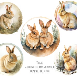 Bunnies Clipart. Bunny Bundle. Spring Clipart, Rabbit Clip Art, Boho ...