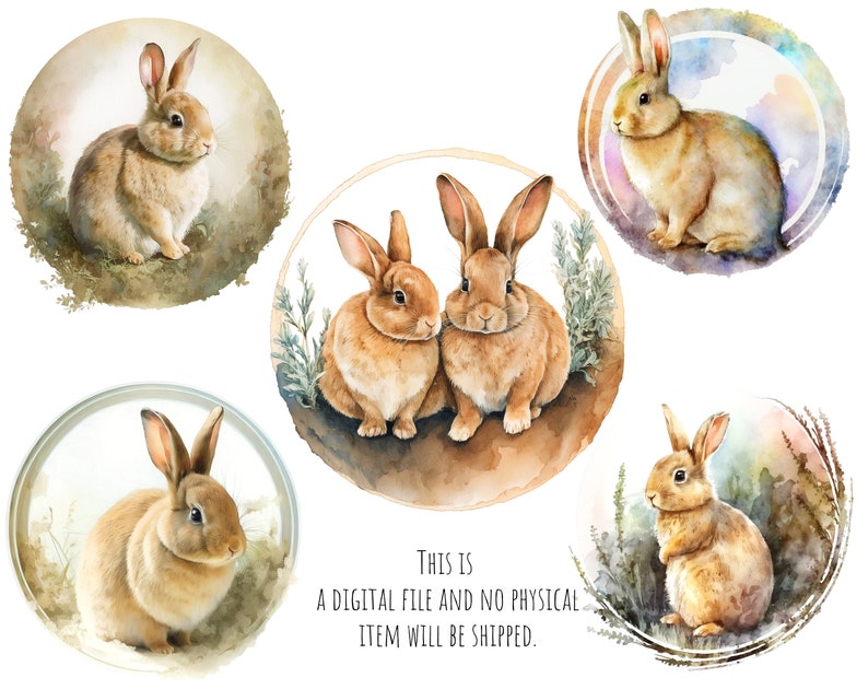 Bunnies Clipart. Bunny Bundle. Spring Clipart, Rabbit Clip Art, Boho ...