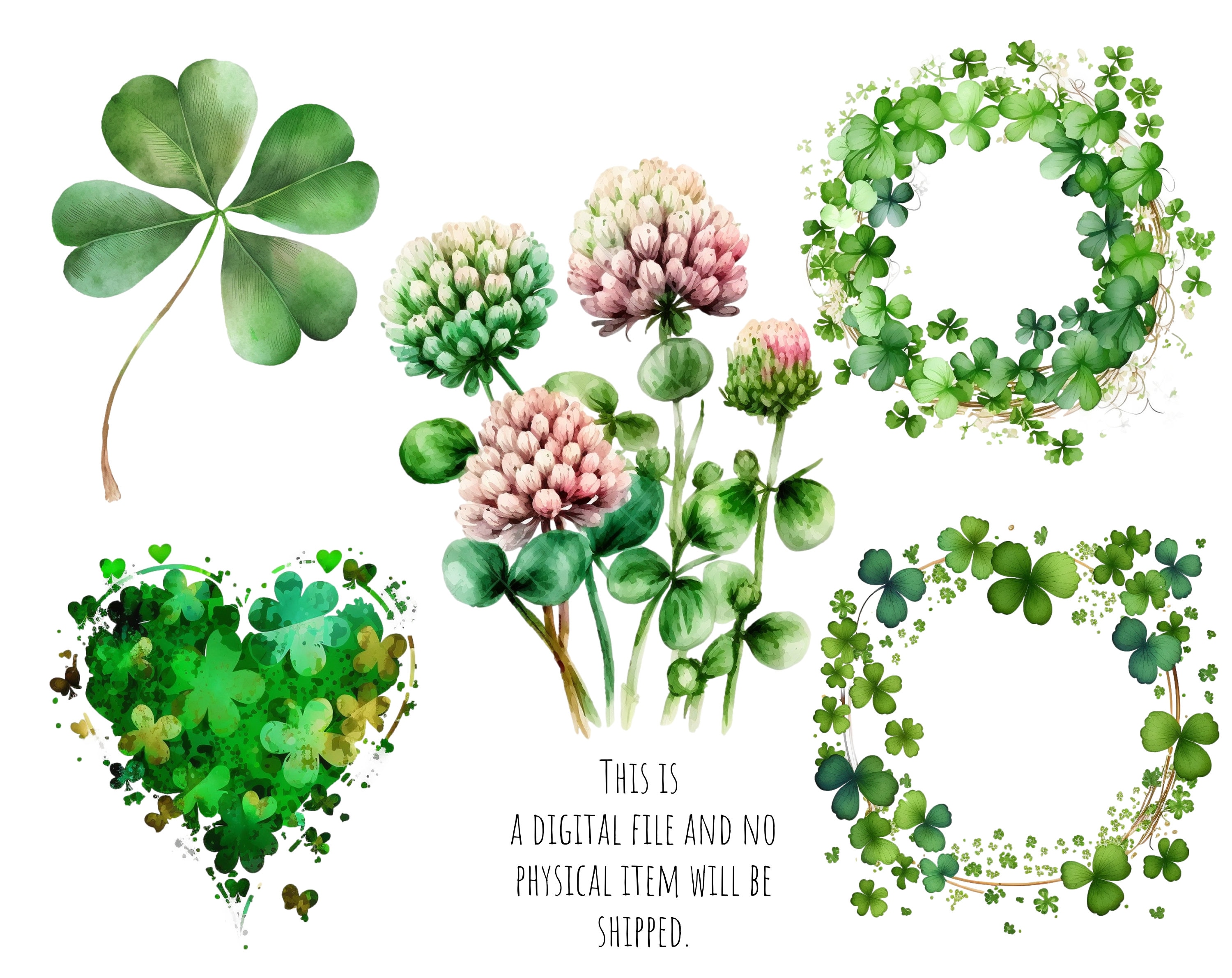 Watercolor Clover Clipart. Grass Clipart. Floral Shamrock - Etsy Australia