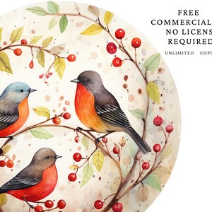 Winter Birds Clipart, Christmas Clipart, Winter Clipart, Bird Clipart ...