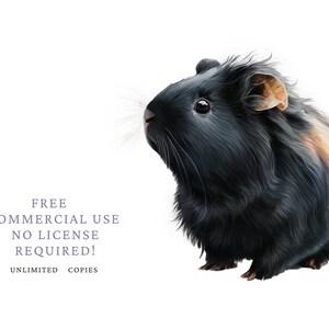 Guinea Pig Clipart. Cute Animals Clip Art, Png. Digital Watercolor ...